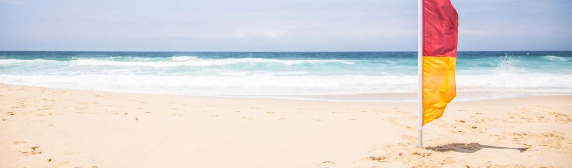 Strong State Campaign For Illawarra Nippers - Surf Life Saving NSW