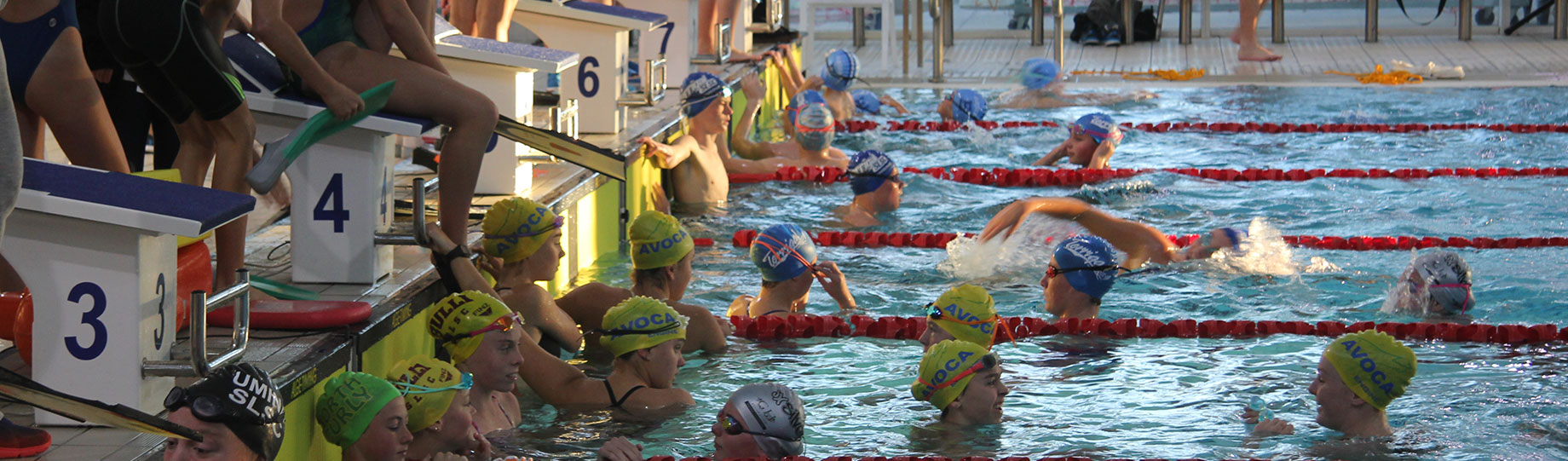 Surf Lifesavers Tame Pool - Surf Life Saving NSW