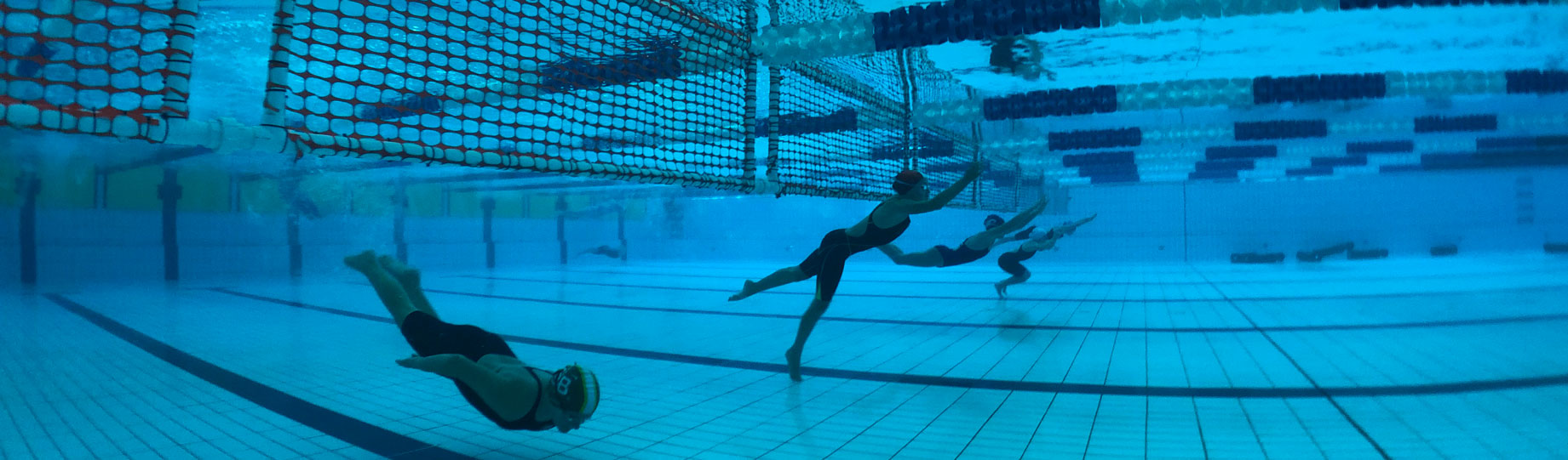 Central Coast Lifesavers Dominate At Pool Champs - Surf Life Saving NSW