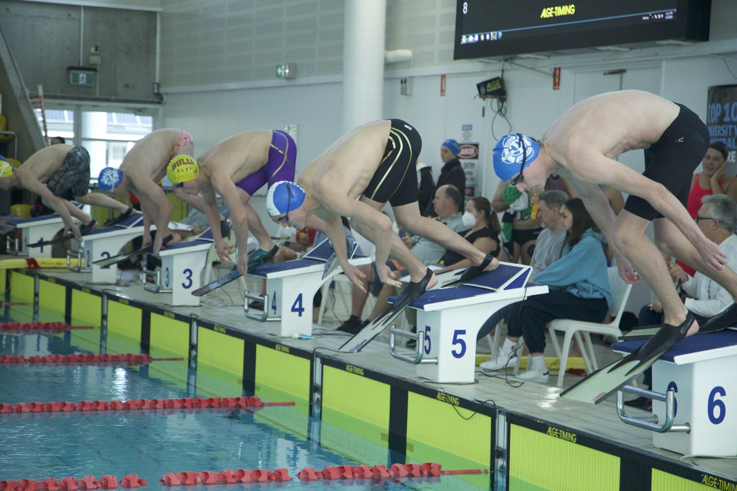 Pool Champs to Test Lifesaving Skills - Surf Life Saving NSW