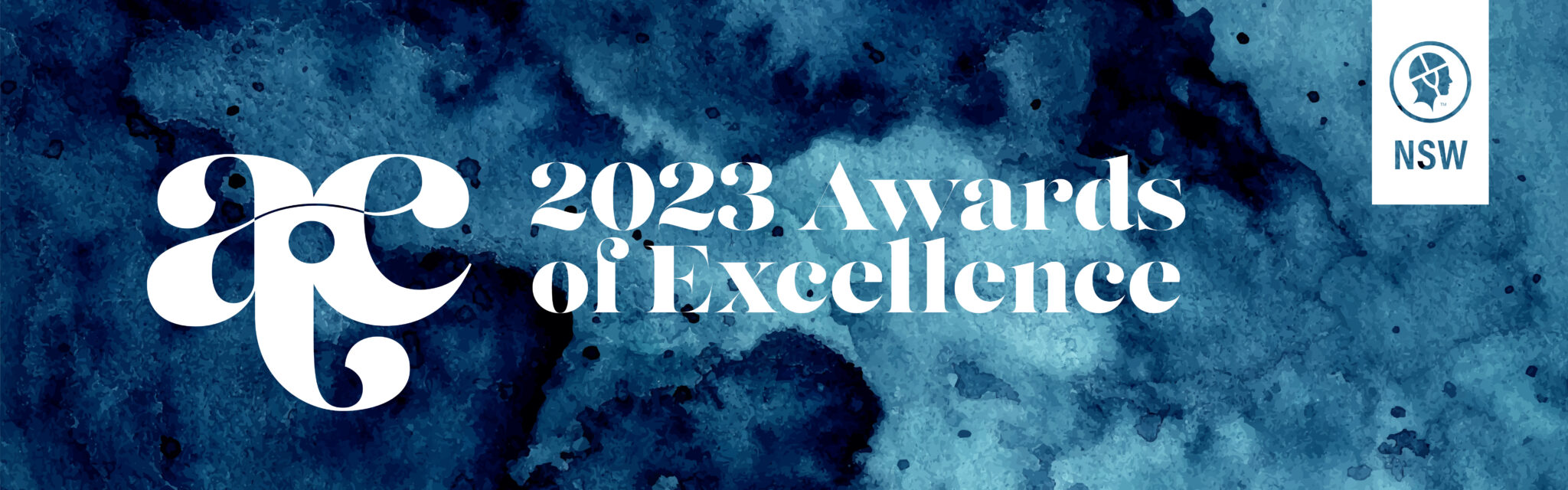 2023 SLSNSW Awards of Excellence - Surf Life Saving NSW